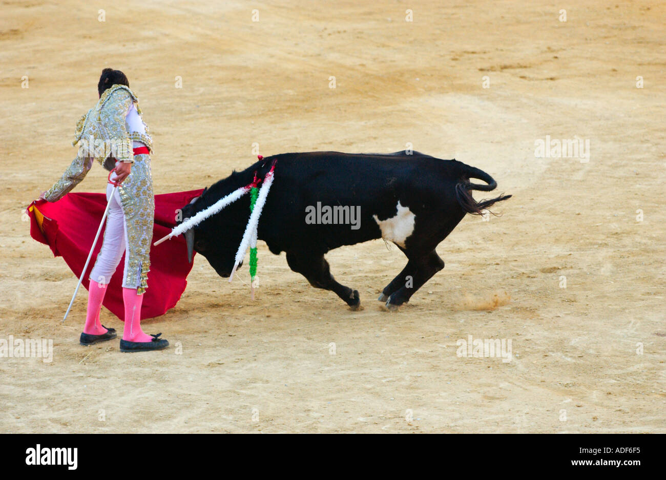 Bullfight in Spain Stock Photo - Alamy