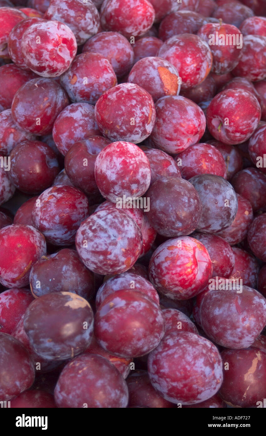 fresh sweet plums, prunus Stock Photo - Alamy