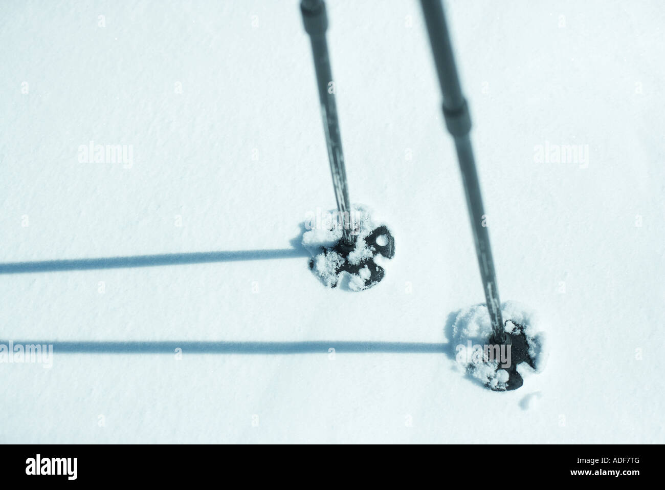 Ski sticks in snow Stock Photo - Alamy