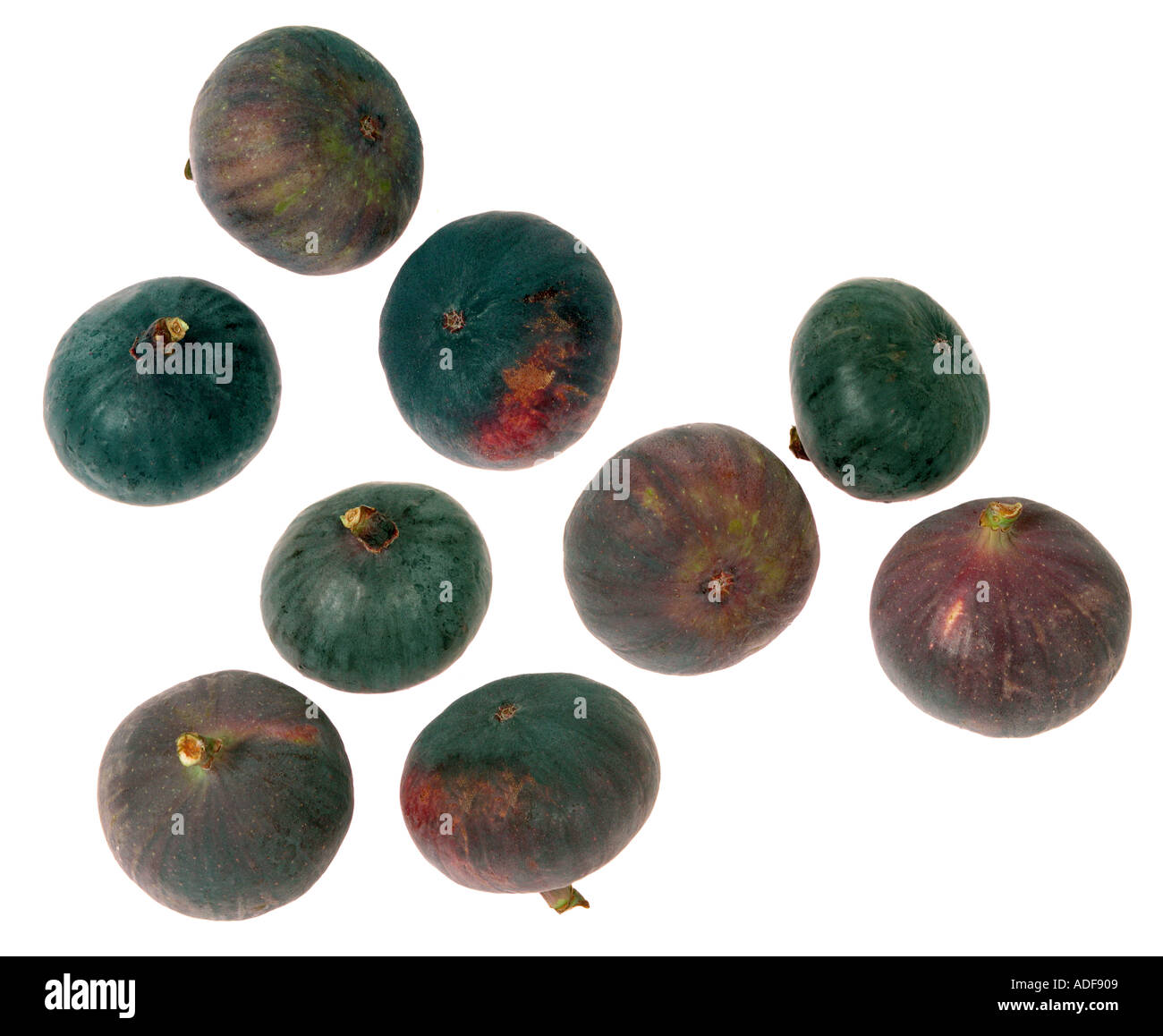 Only figs hi-res stock photography and images - Alamy