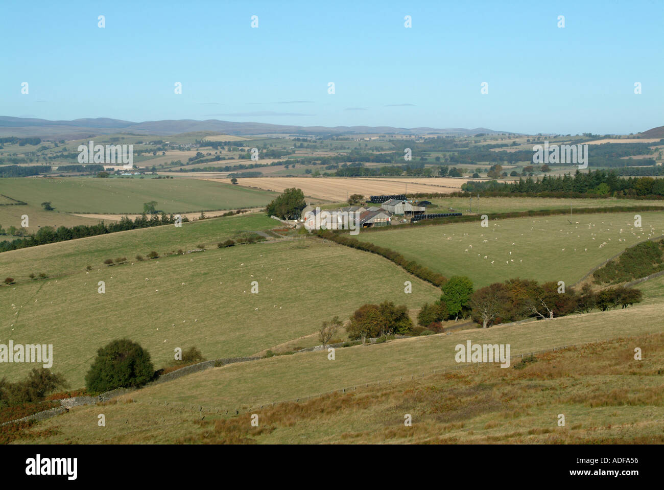 View Towards Cheviot Hills of Northumbrain Countryside from Between ...
