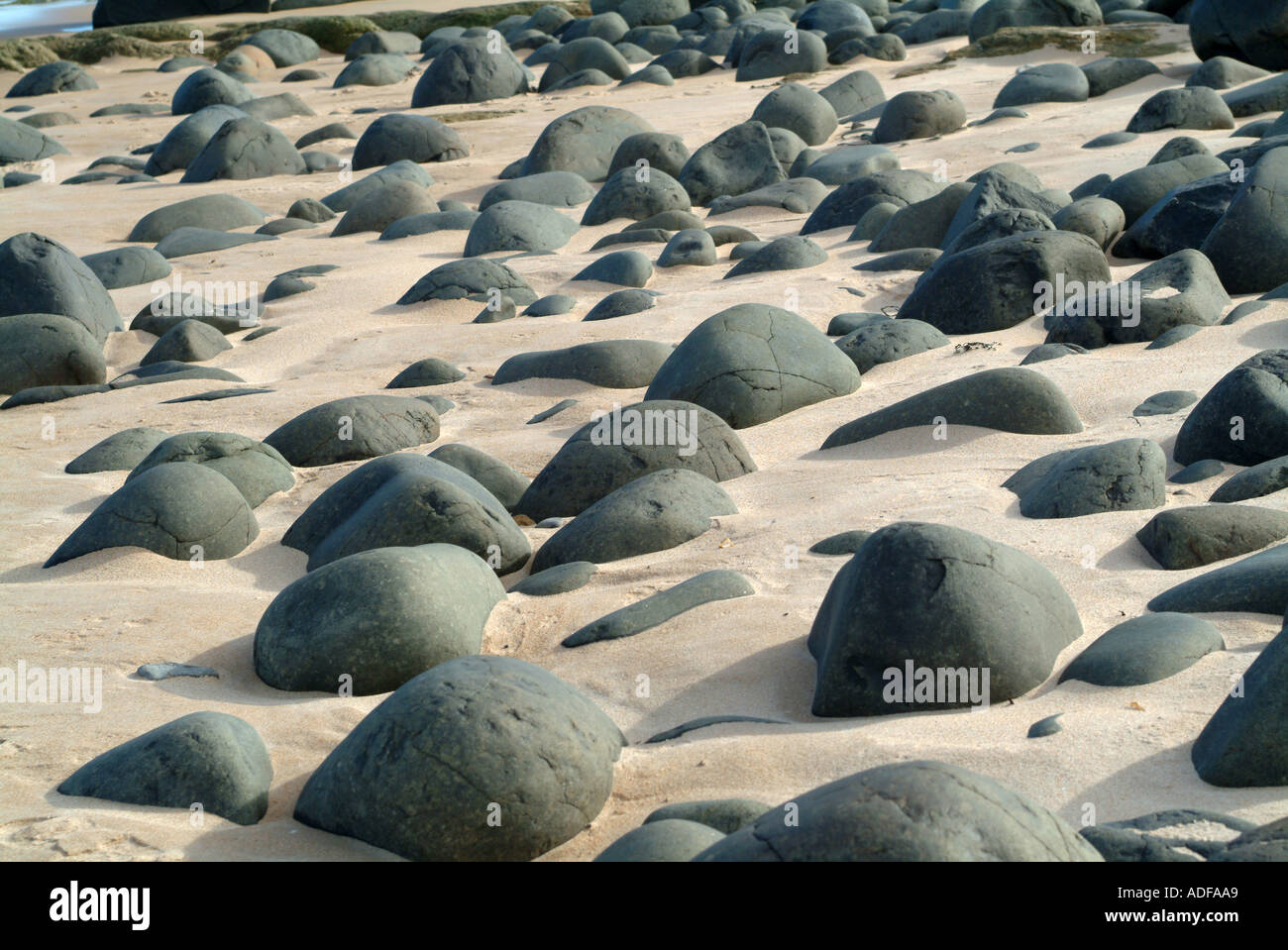 Rocks and Boulders Embedded on Beach at Embleton Bay Northumberland ...