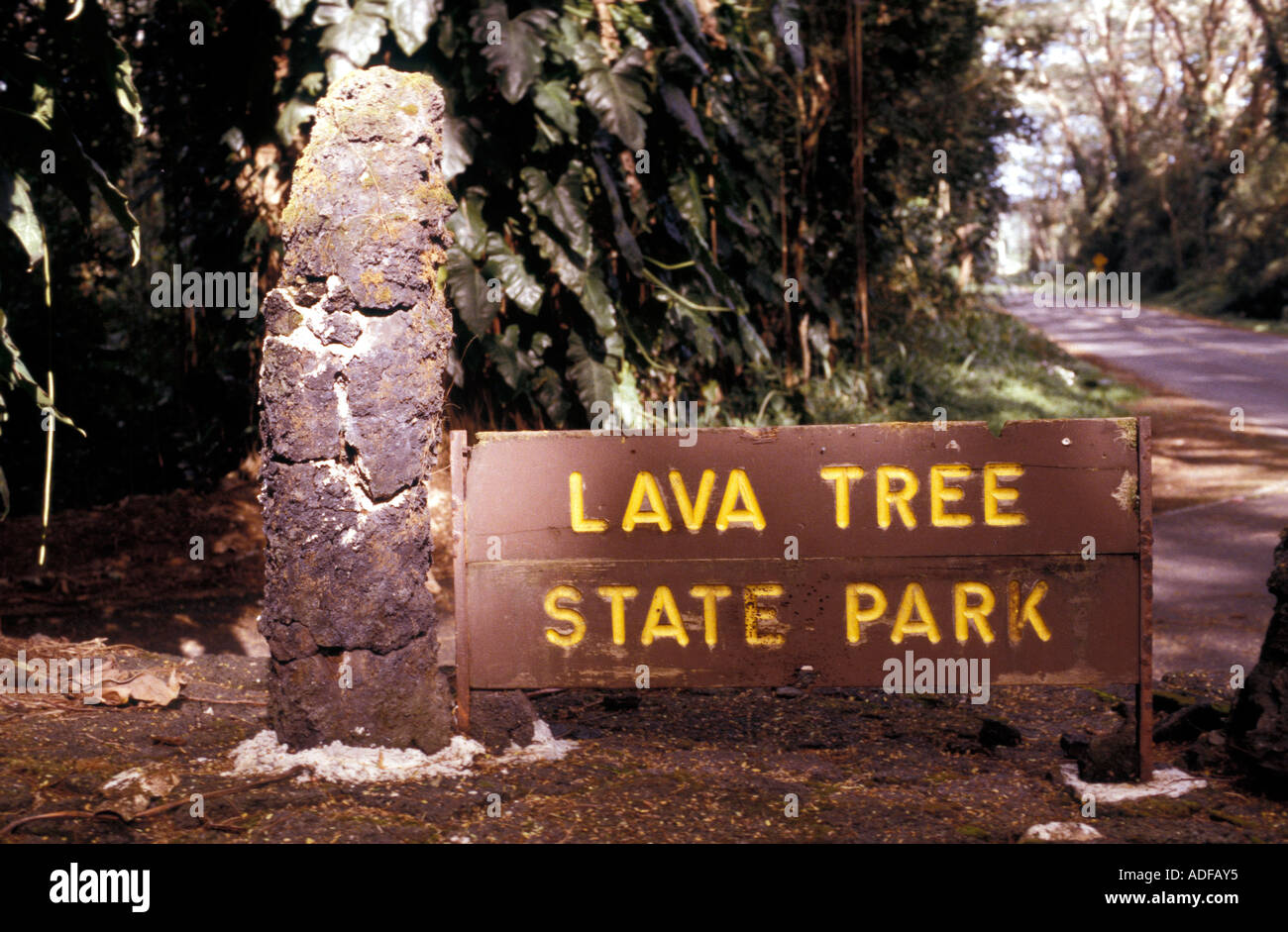 Hawaii big island lava tree state park hi-res stock photography and ...