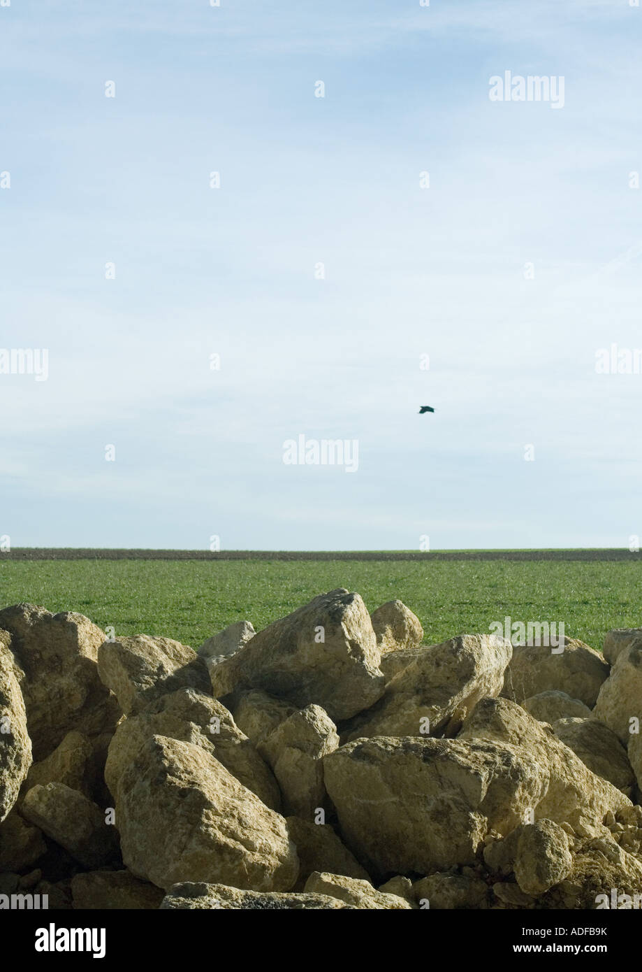 Landscape with rocks, field and bird flying Stock Photo - Alamy