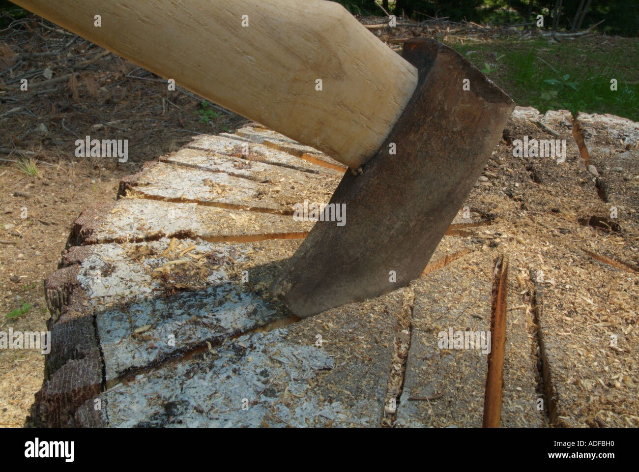 Axe embedded into an tree stump Stock Photo - Alamy