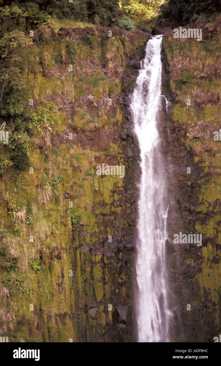 Waterfall 420 ft Akaka Falls state park Big Island Hawaii United States ...