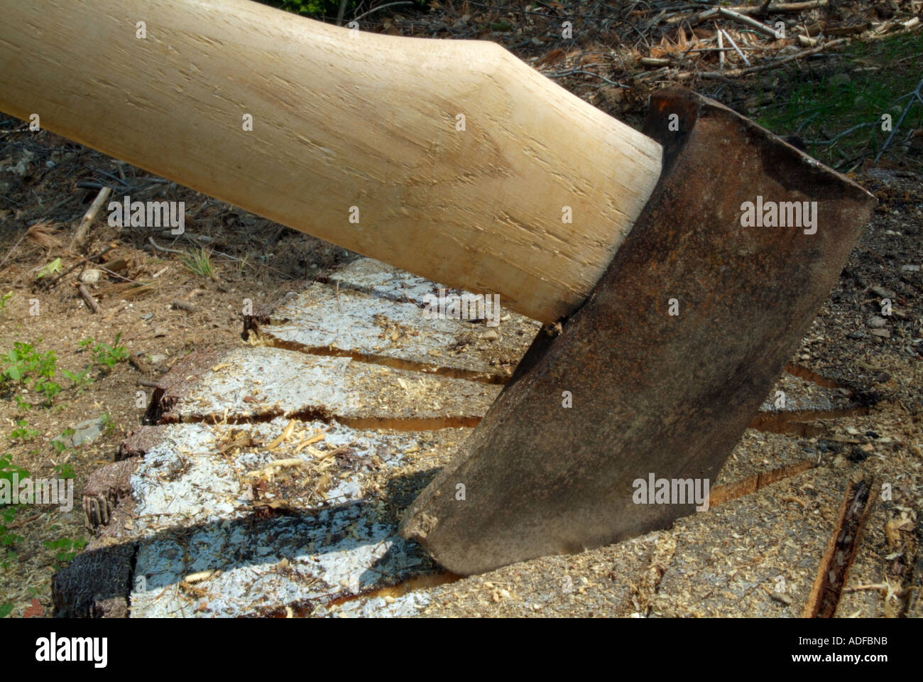 Axe embedded into an tree stump Stock Photo - Alamy