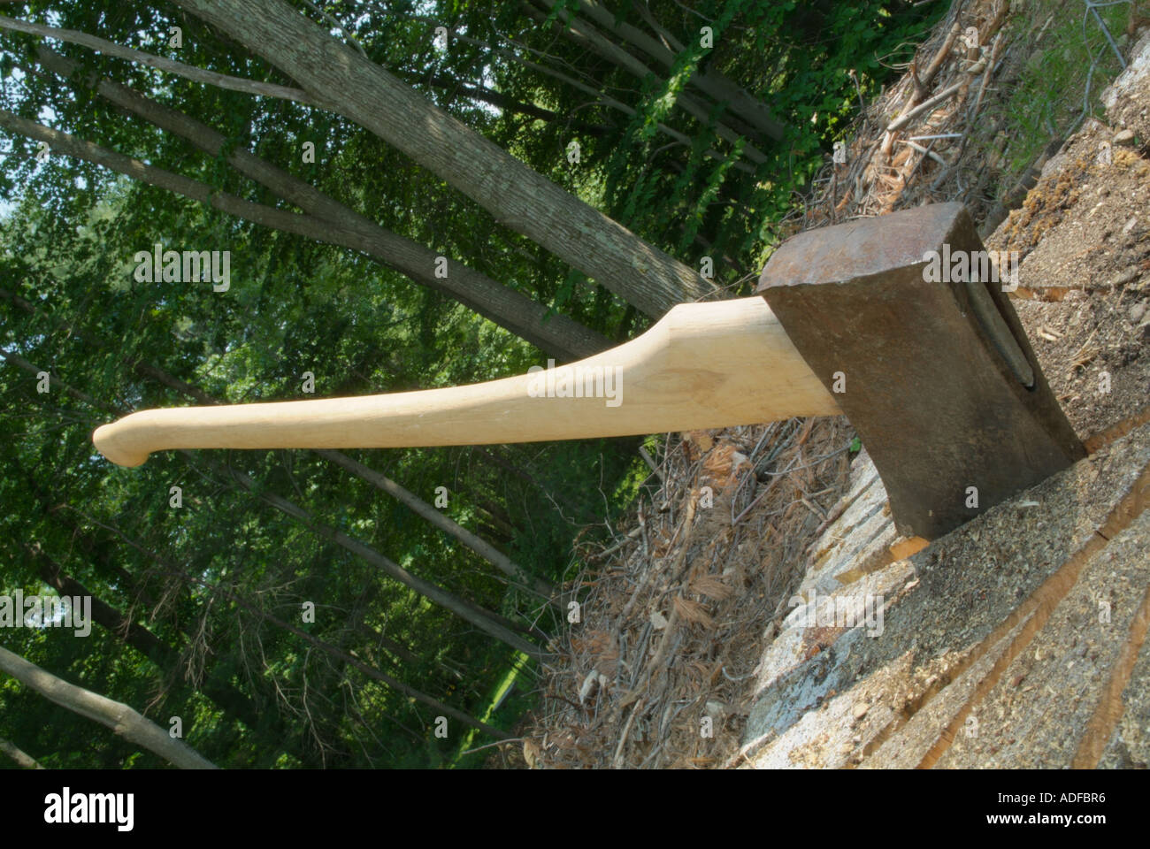 Axe embedded into an tree stump Stock Photo - Alamy