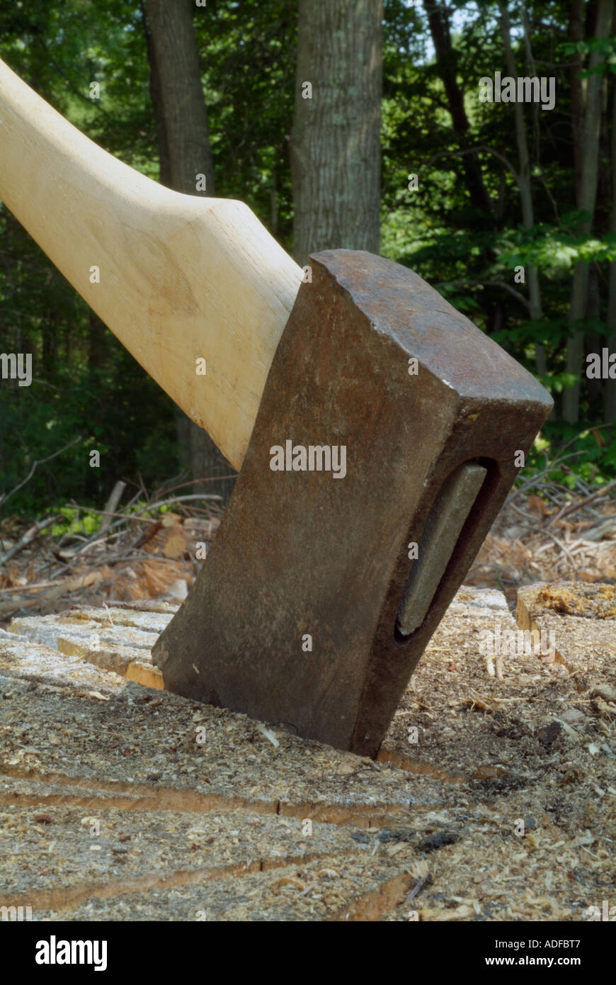 Axe embedded into an tree stump Stock Photo - Alamy