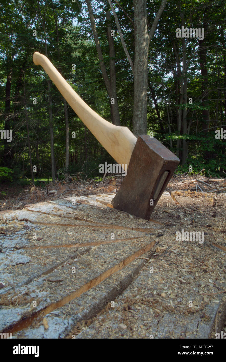Axe embedded into an tree stump Stock Photo - Alamy
