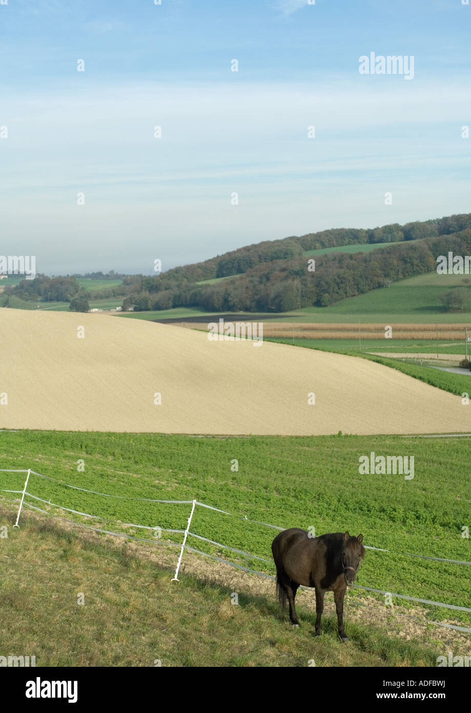 Pasture enclosure enclosures hi-res stock photography and images - Alamy