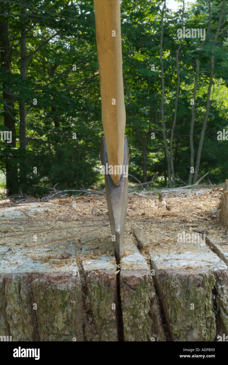 Axe embedded into an tree stump Stock Photo - Alamy
