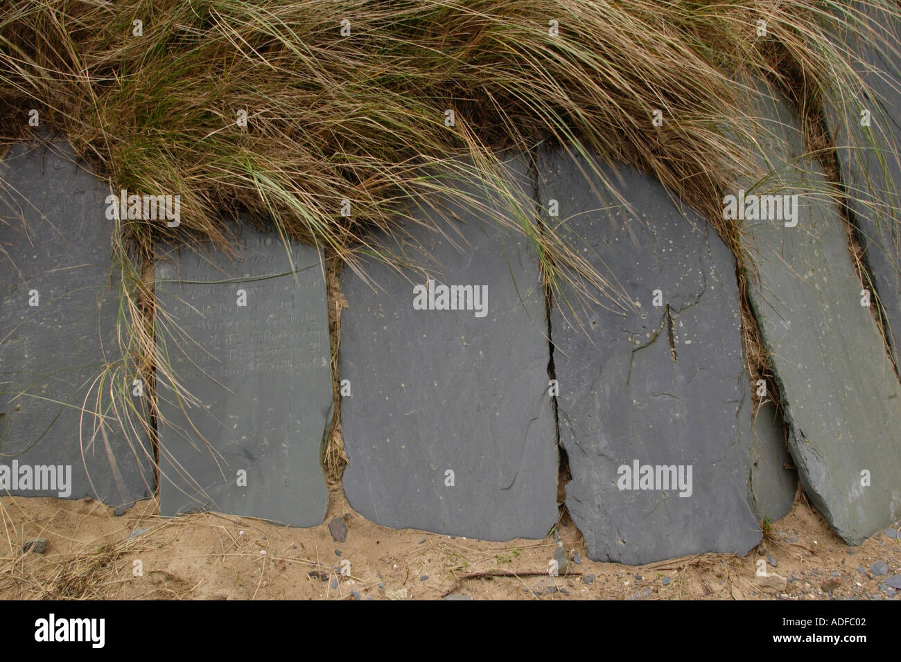 Old slate gravestones at St Tanwg's Church surrounded by sand dunes ...