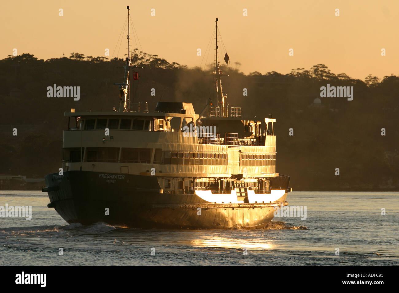 Passenger Ferry at Dawn Sydney Harbour Australia Stock Photo - Alamy