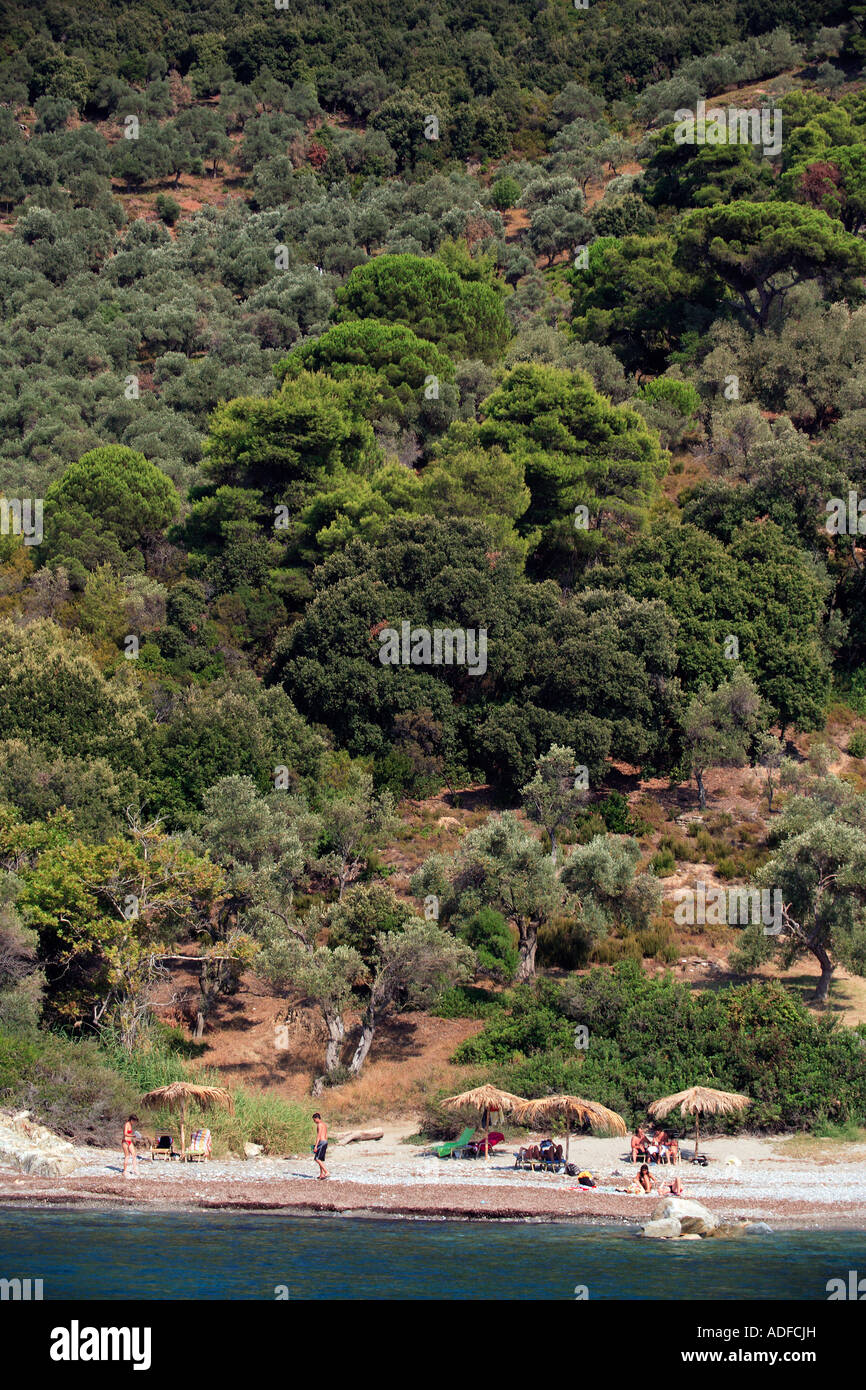 GREECE SPORADES SKIATHOS ISLAND A VIEW OF KECHRIAS BEACH Stock Photo ...