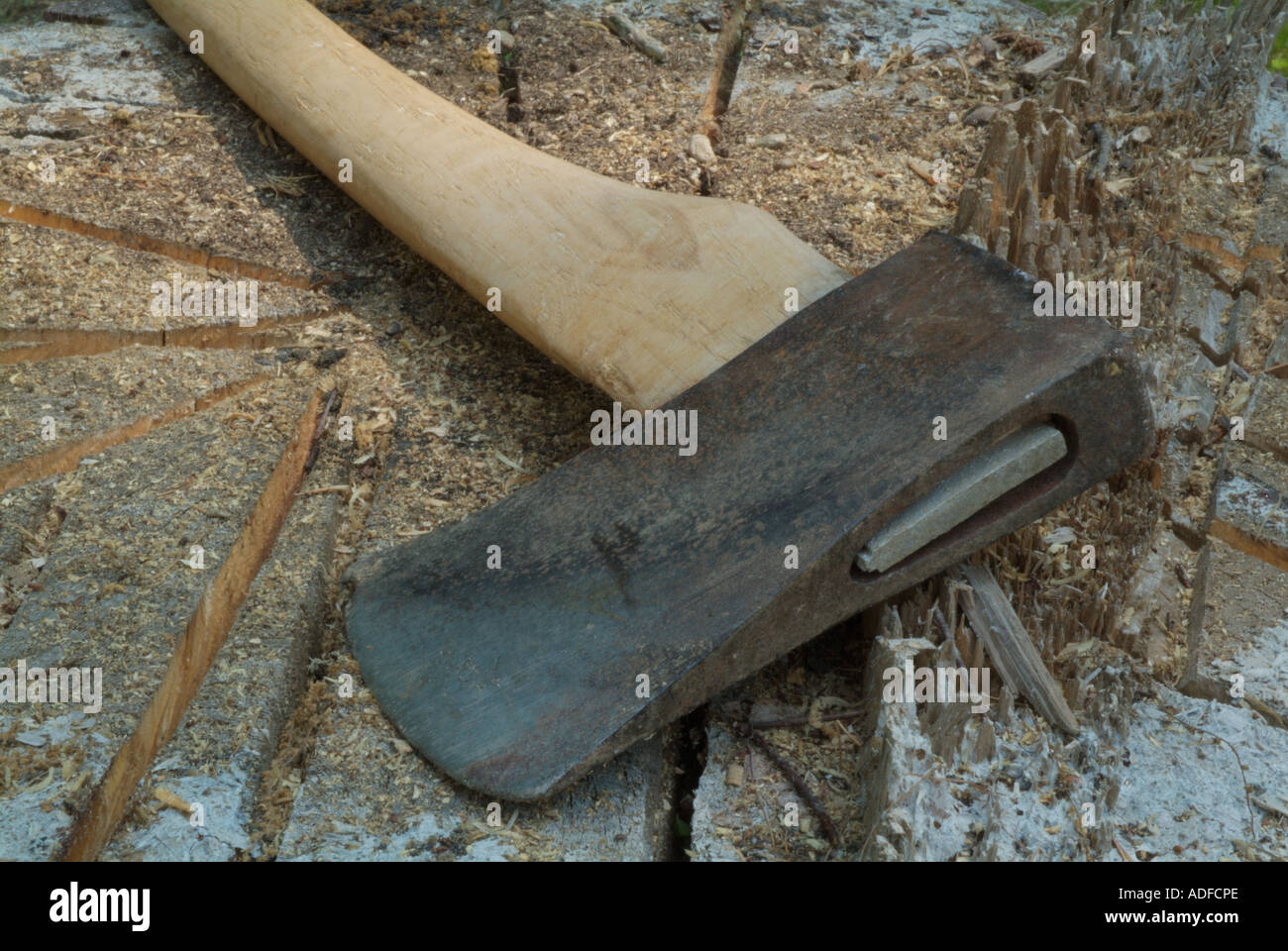 Axe on a tree stump Stock Photo - Alamy