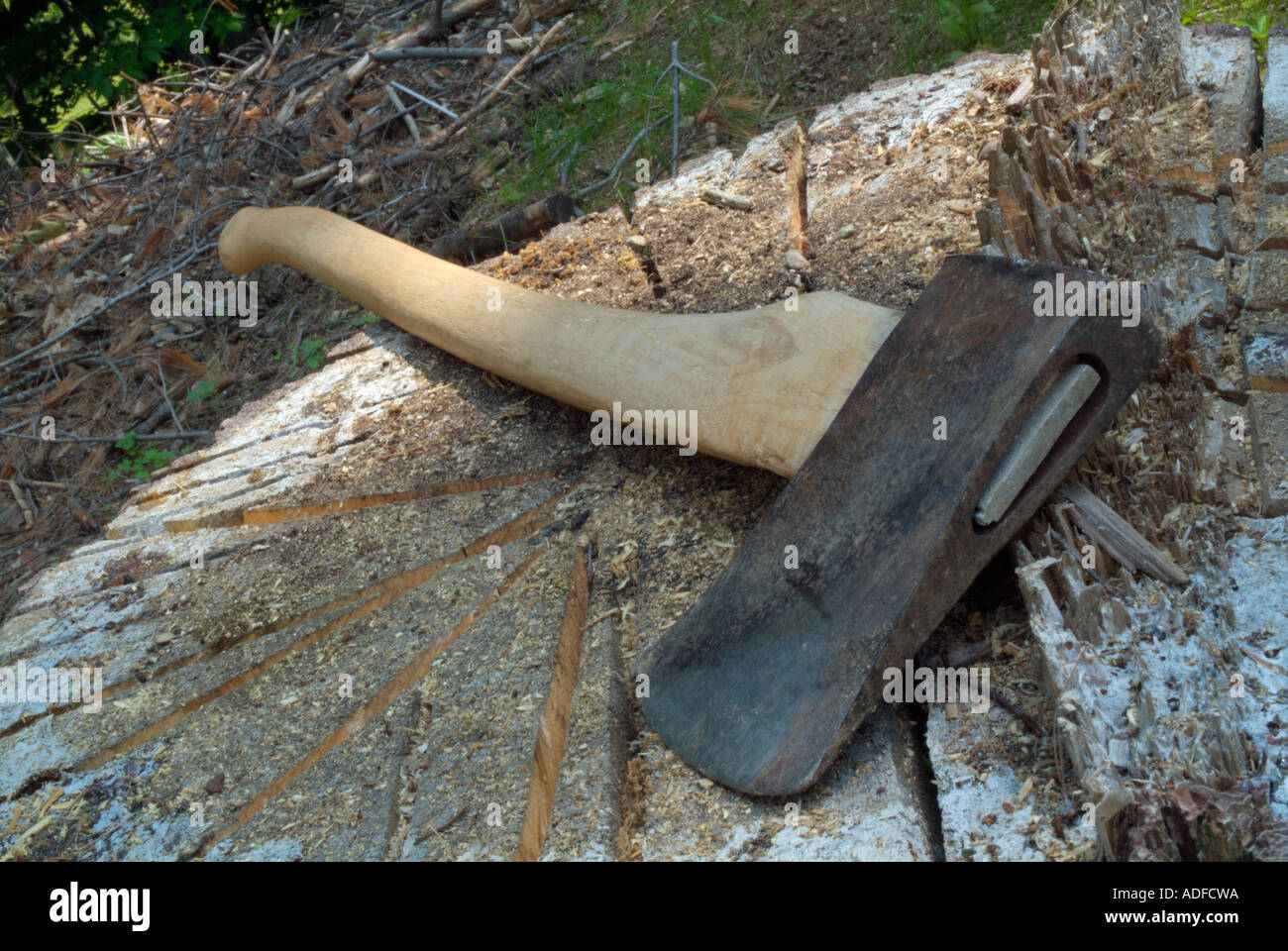 Axe on a tree stump Stock Photo - Alamy