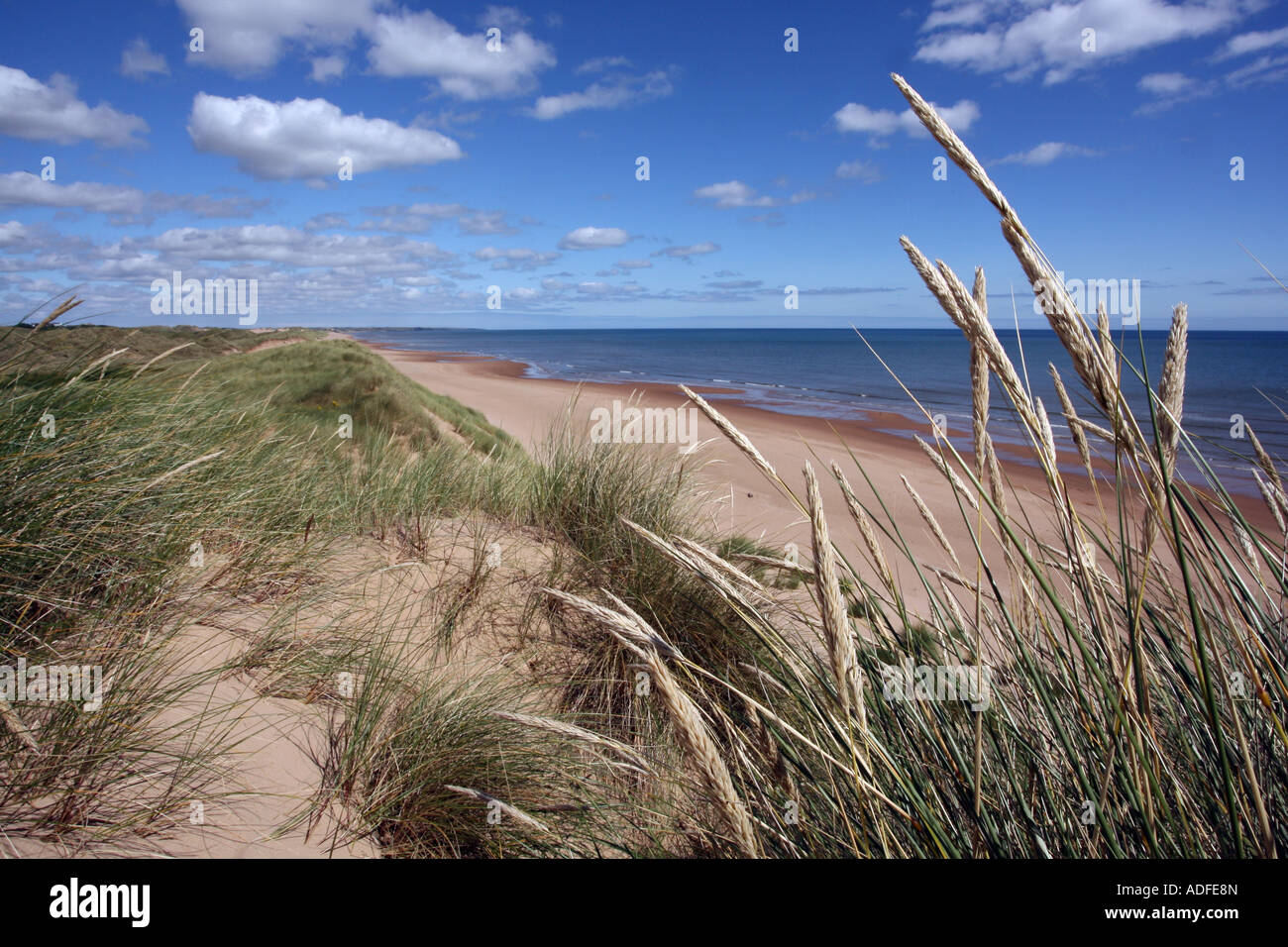 Balmedie Beach near the sand dunes of Menie, Aberdeen, Scotland, UK ...