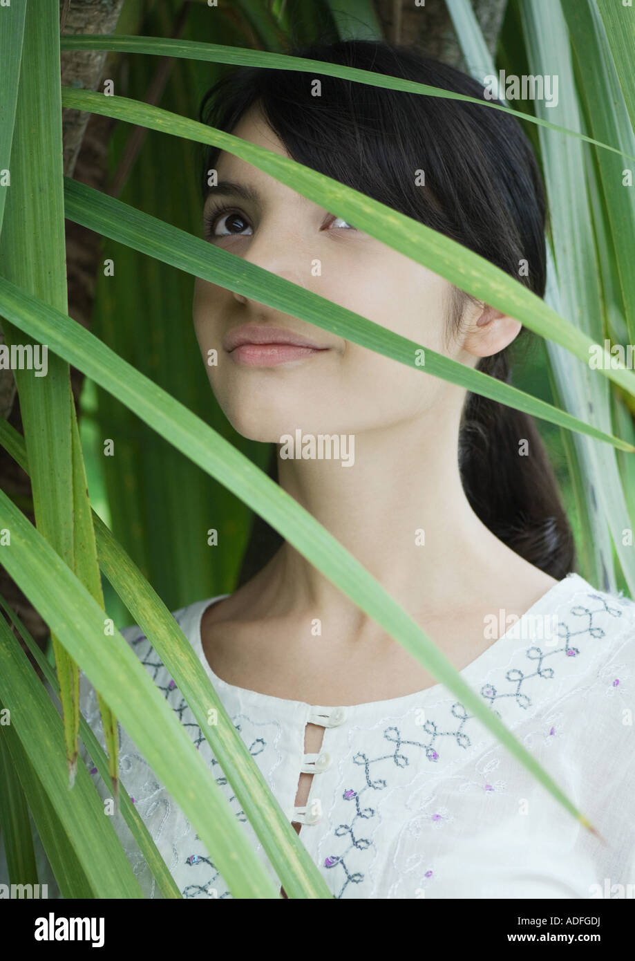 Lush greeneries hi-res stock photography and images - Alamy