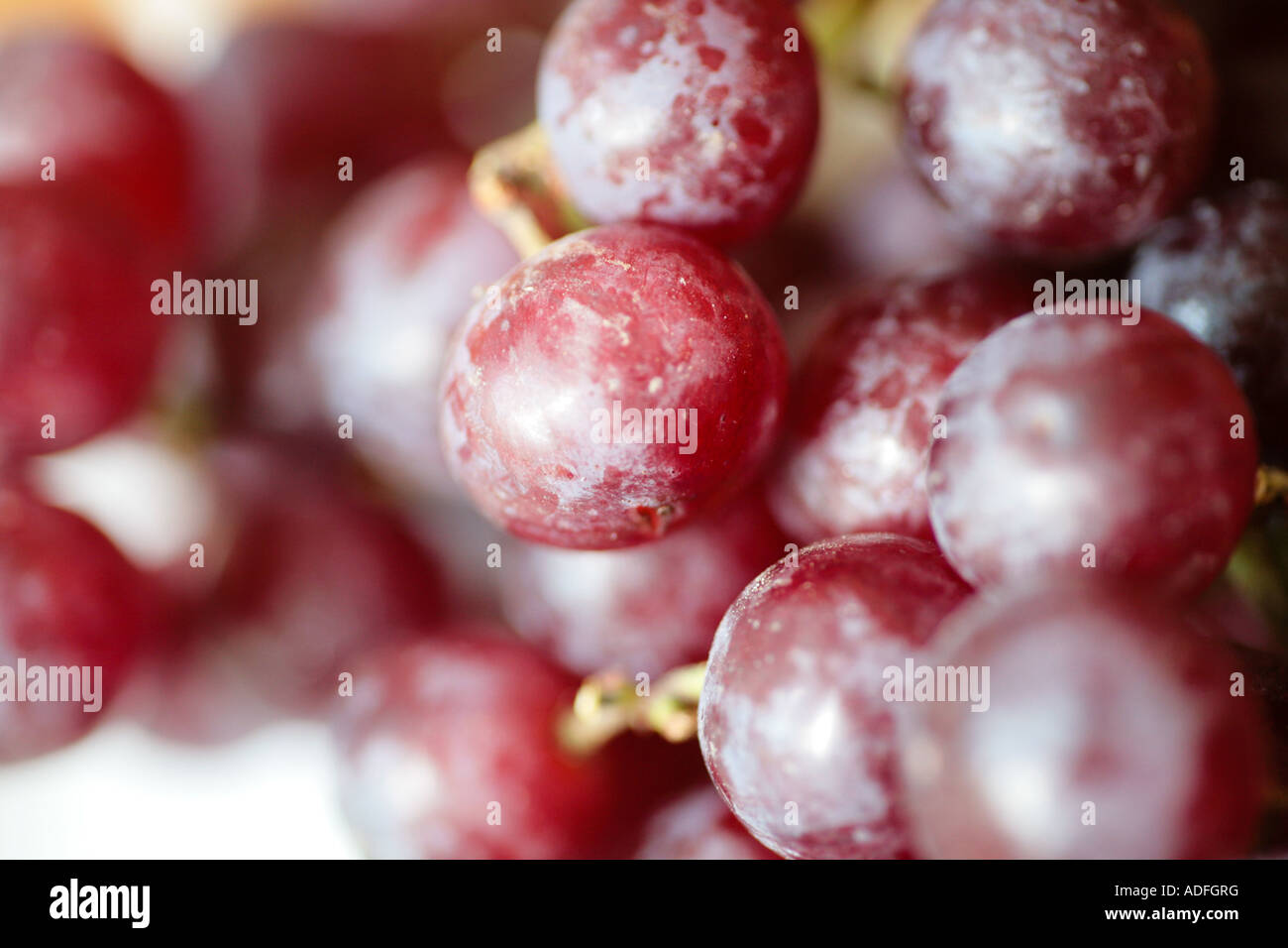 Red soft fruit hi-res stock photography and images - Alamy