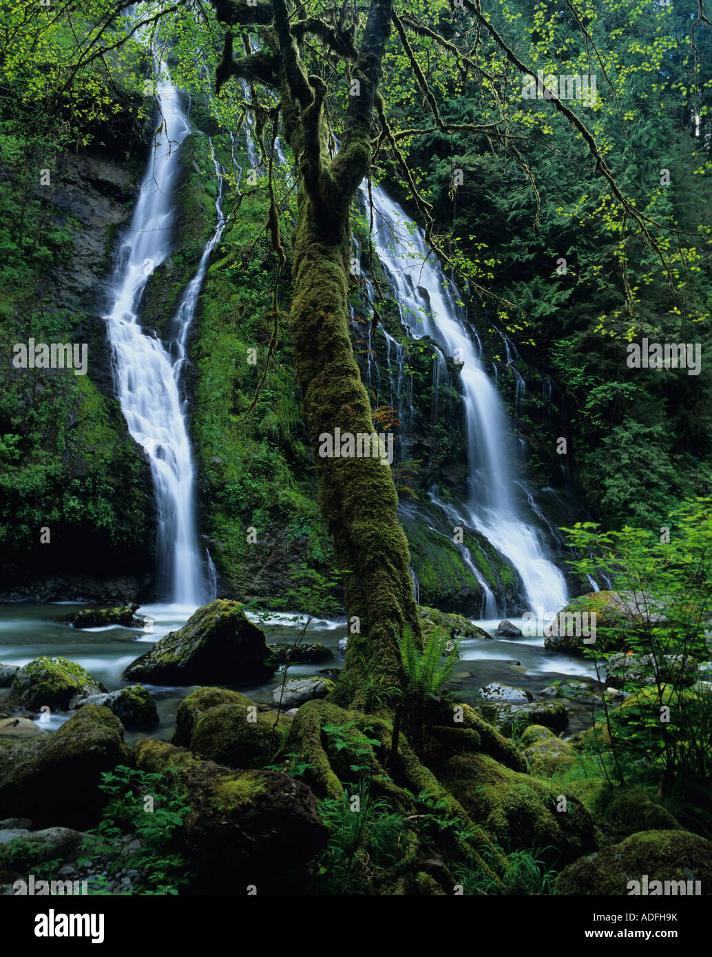 Boulder creek falls hi-res stock photography and images - Alamy