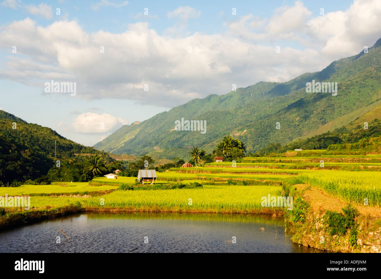 Philippines Luzon Island The Cordillera Mountains Kalinga Province ...