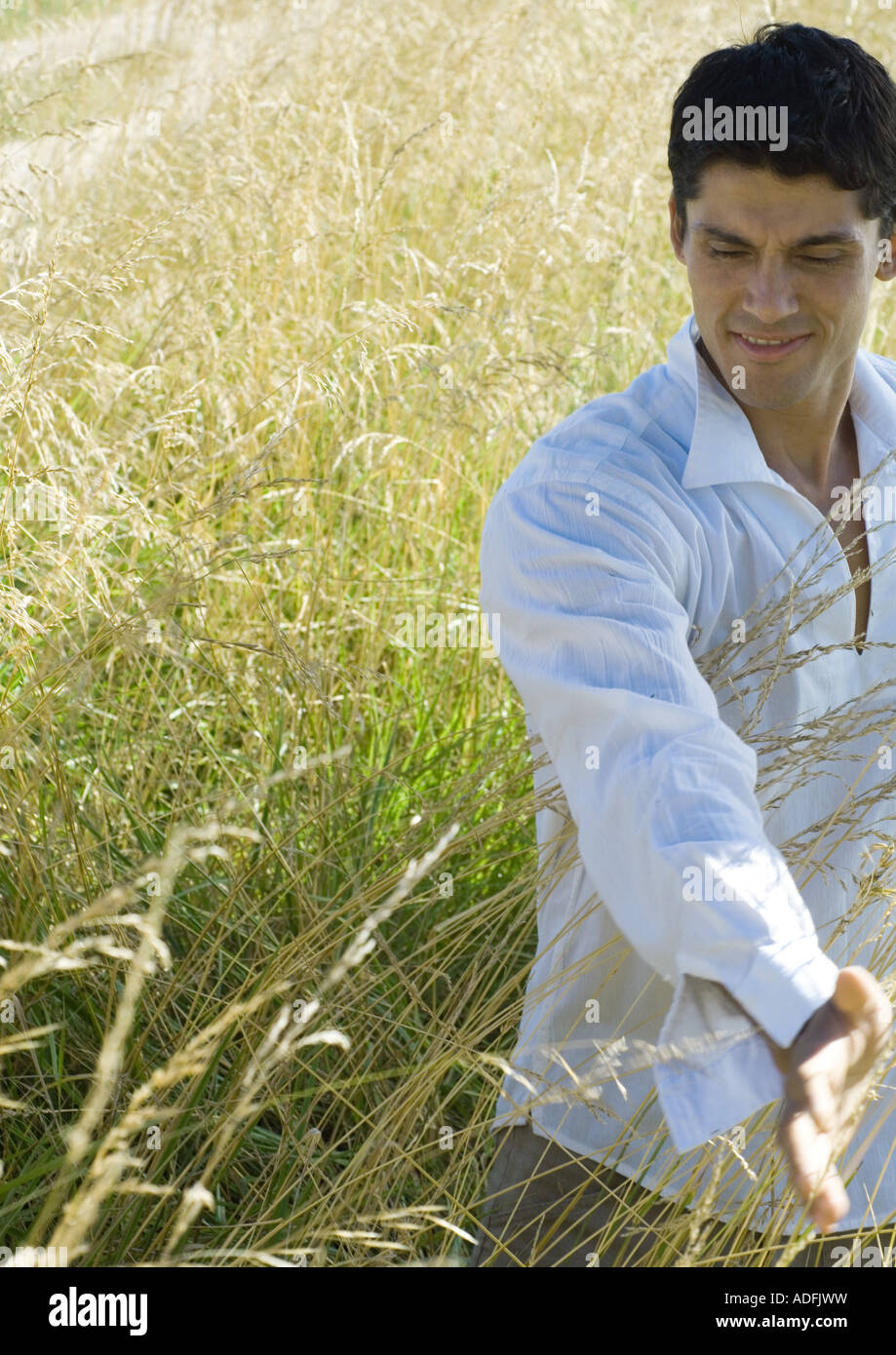 Man walking through field, touching tall grass Stock Photo - Alamy