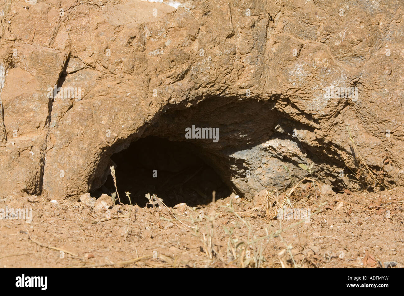 Dragon Lair High Resolution Stock Photography and Images - Alamy