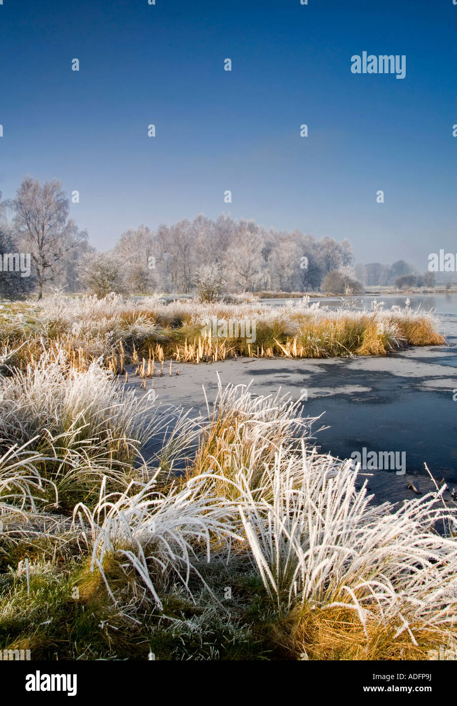 Marston Flash in Winter, Near Northwich, Cheshire, England, UK Stock ...
