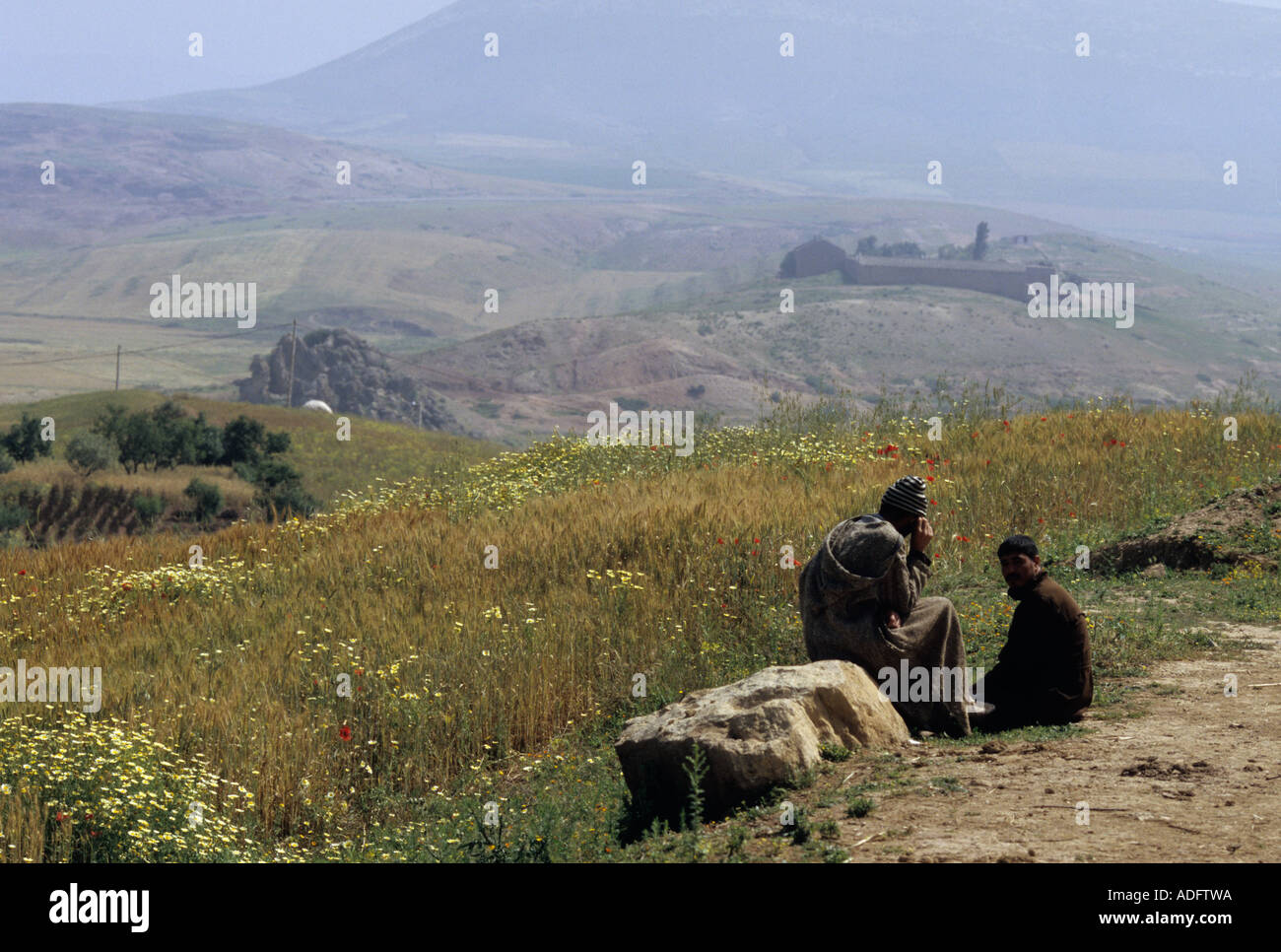 Moroccan landscape, Morocco Stock Photo - Alamy