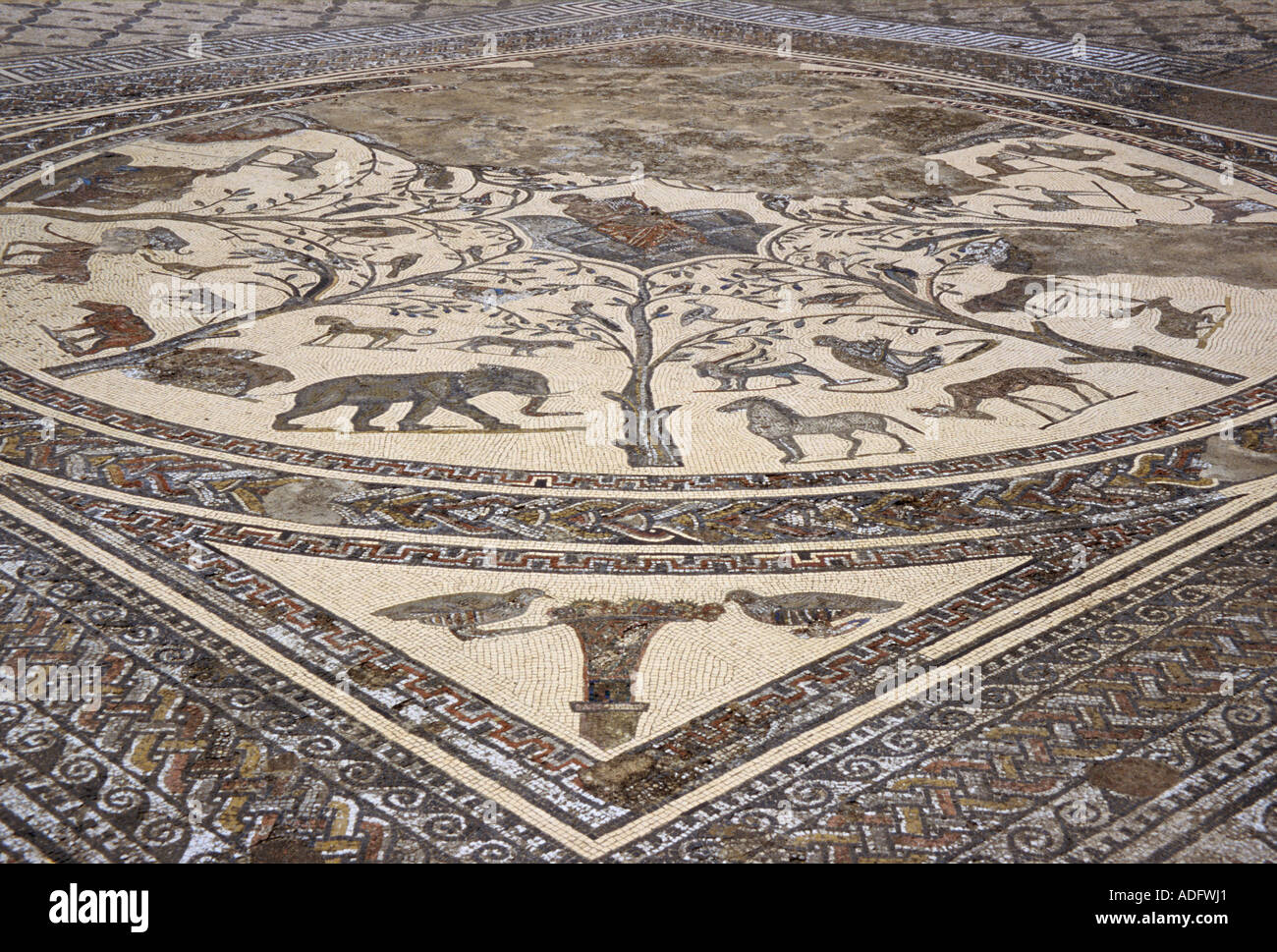 Animal mosaic hi-res stock photography and images - Alamy