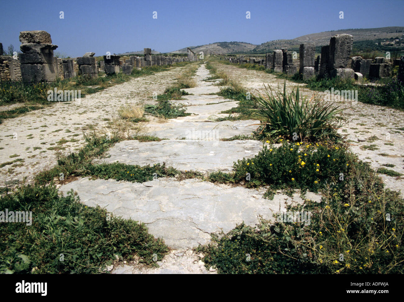 The ceremonial road that gets from the Tangier gate to the triumphal ...