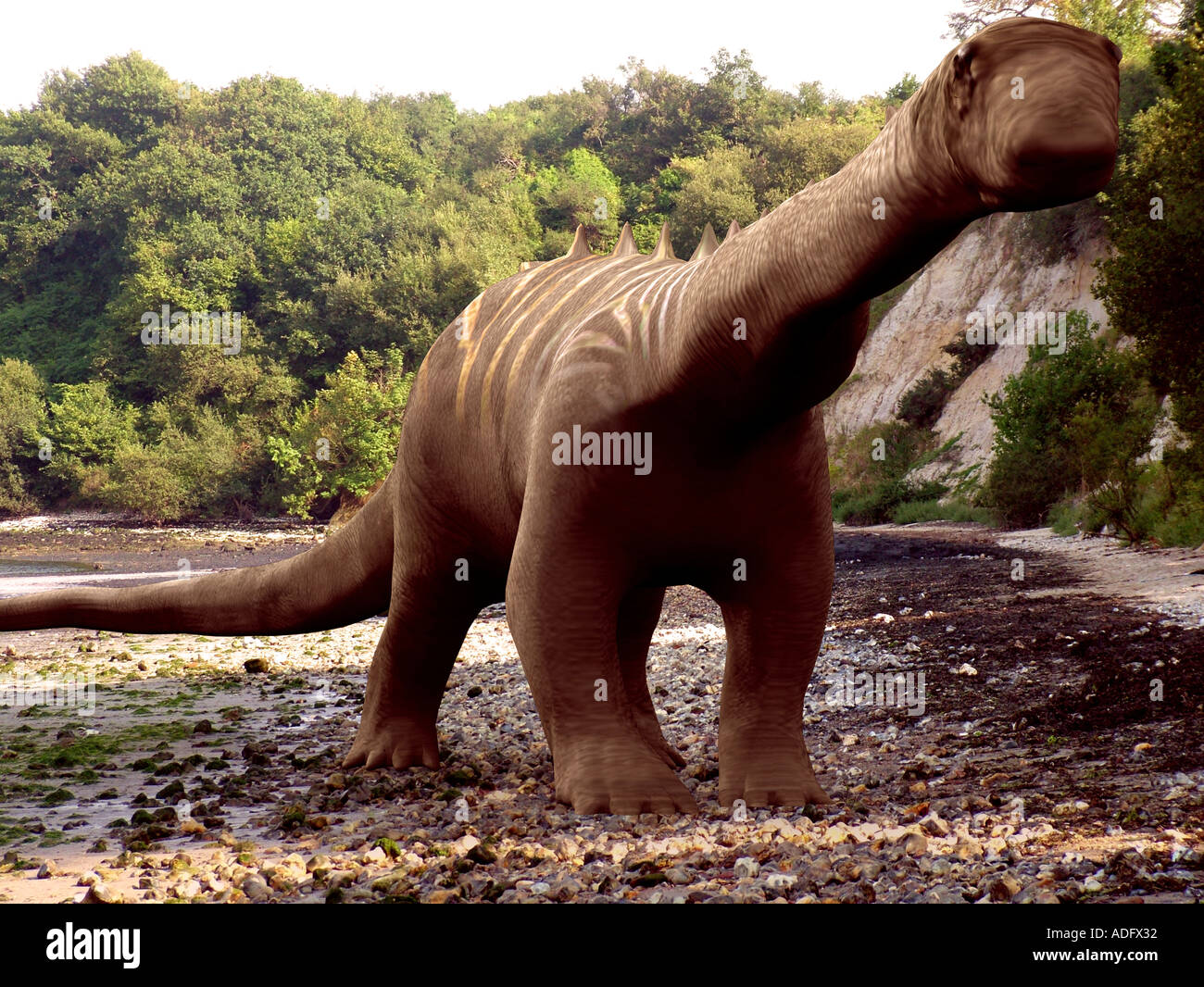 diplodocus or brontosaurus one of the sauropod family of dinosaurs 3d ...