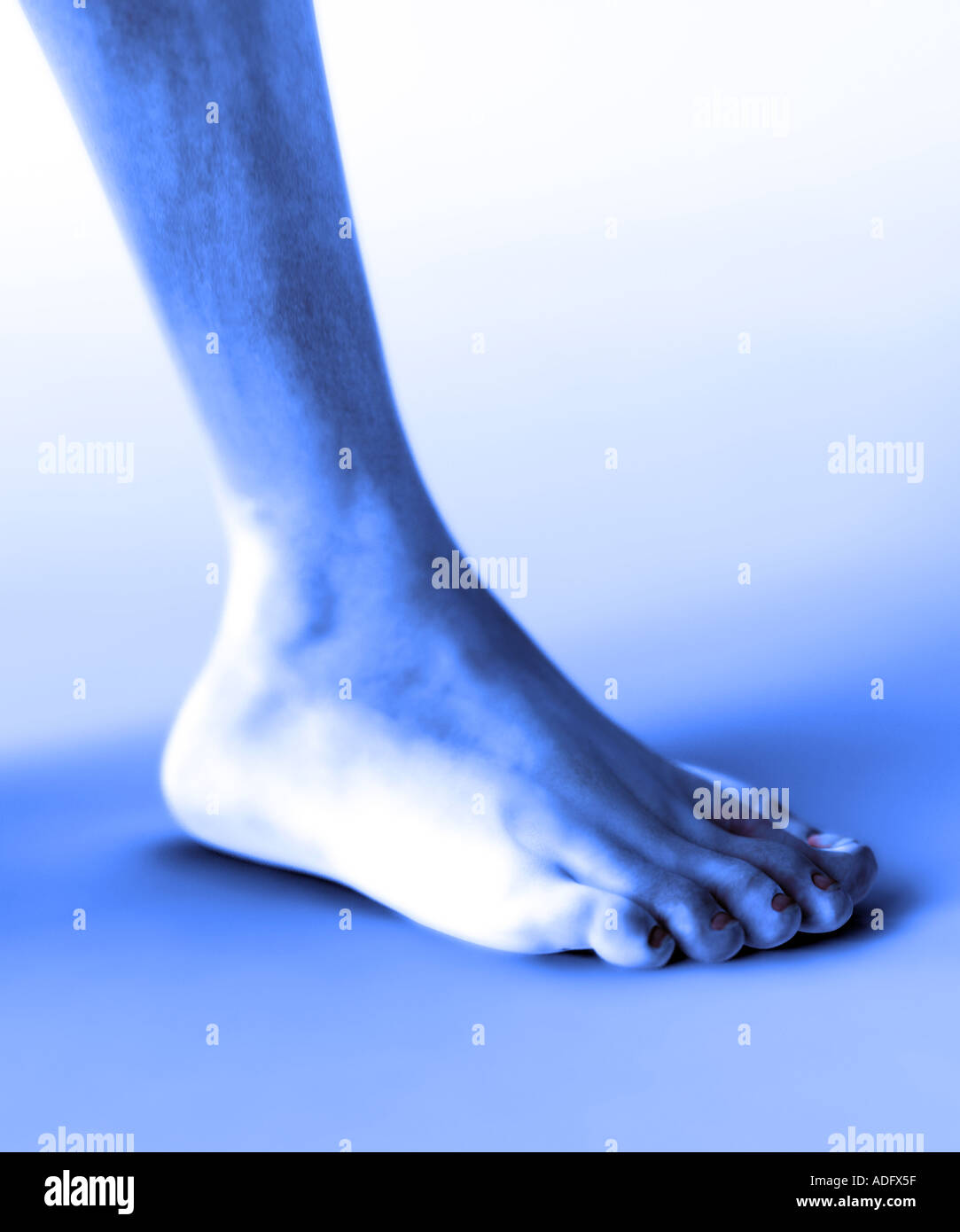 a woman s foot computer illustration Stock Photo - Alamy