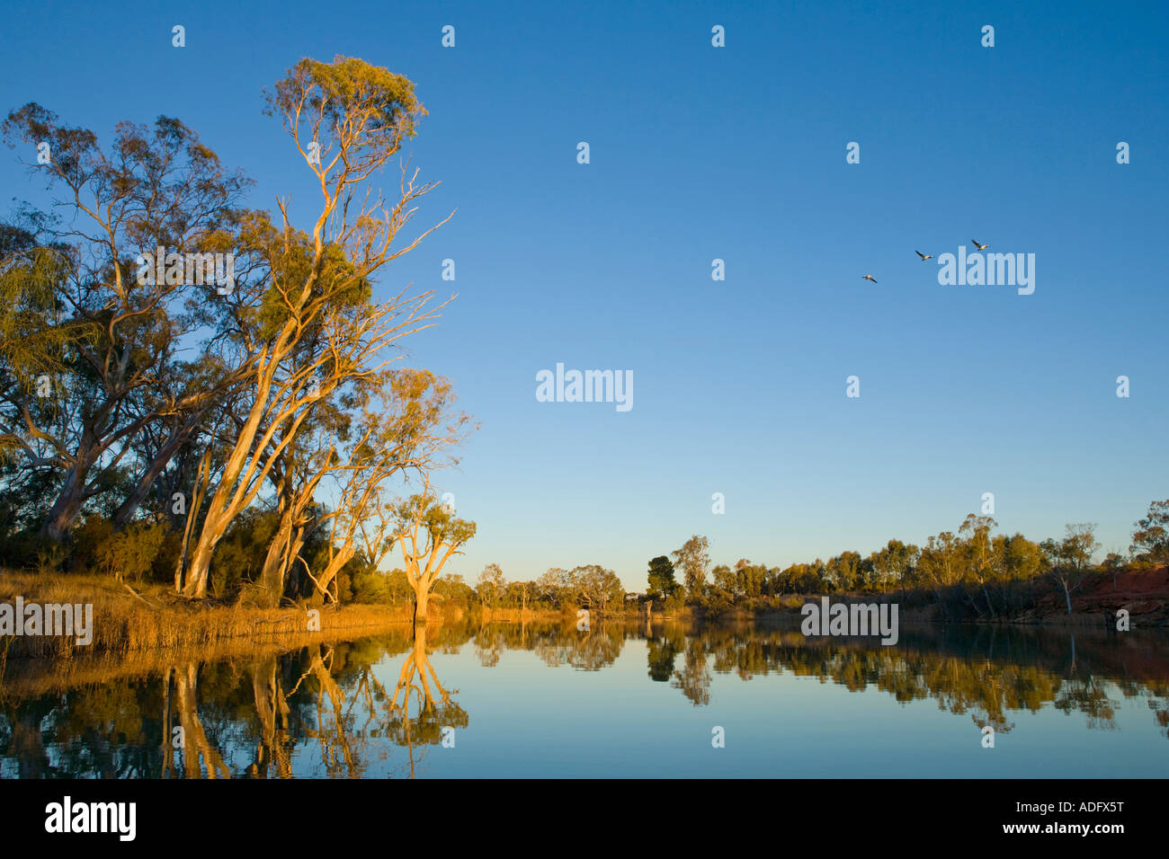 Late afternoon on Murray River near Mildura, Australia Stock Photo - Alamy