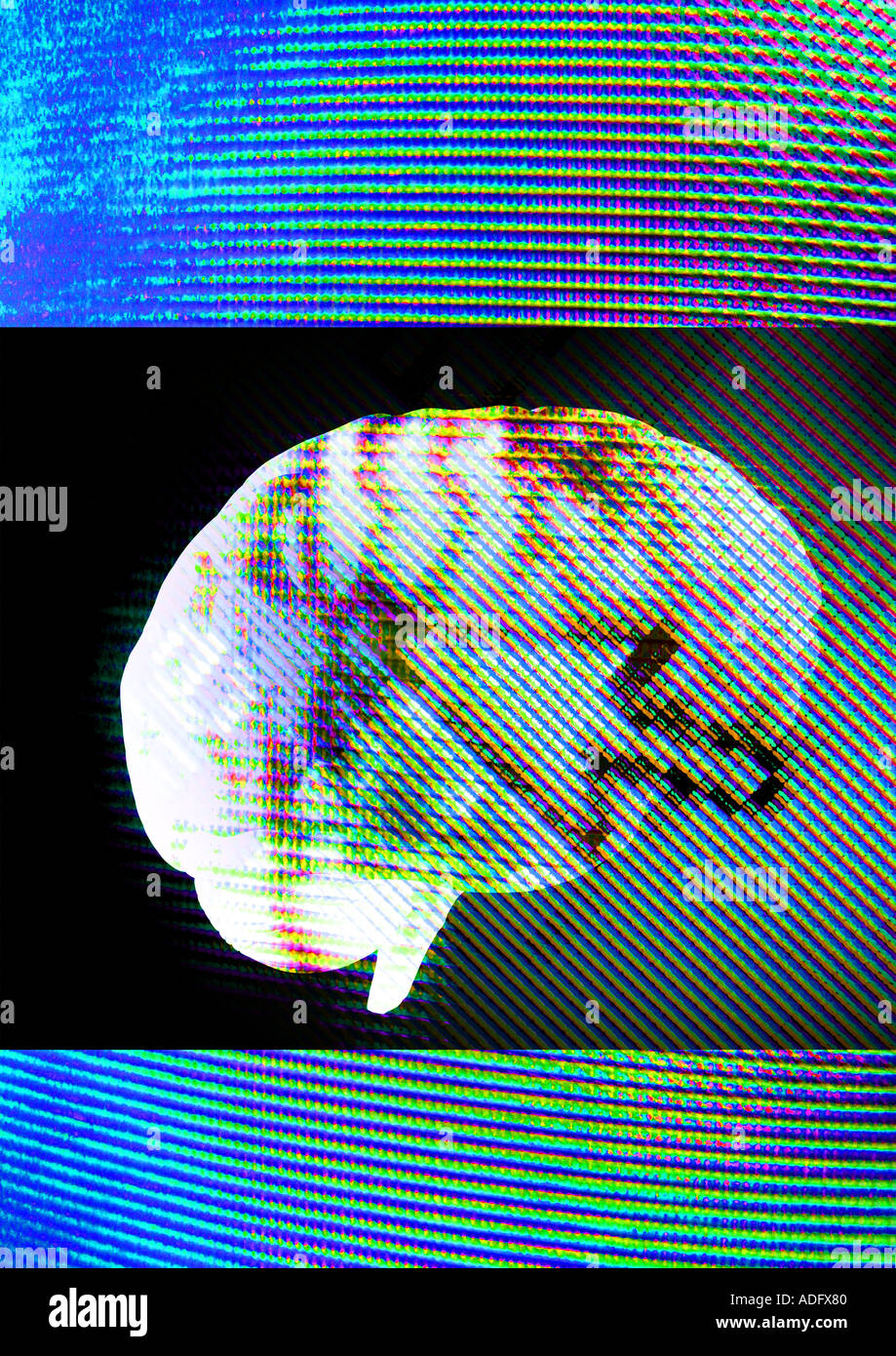digital computer image of the human brain could by symbolic of ...