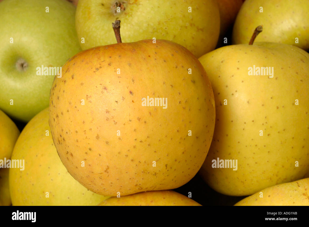 Gold and pink hi-res stock photography and images - Alamy