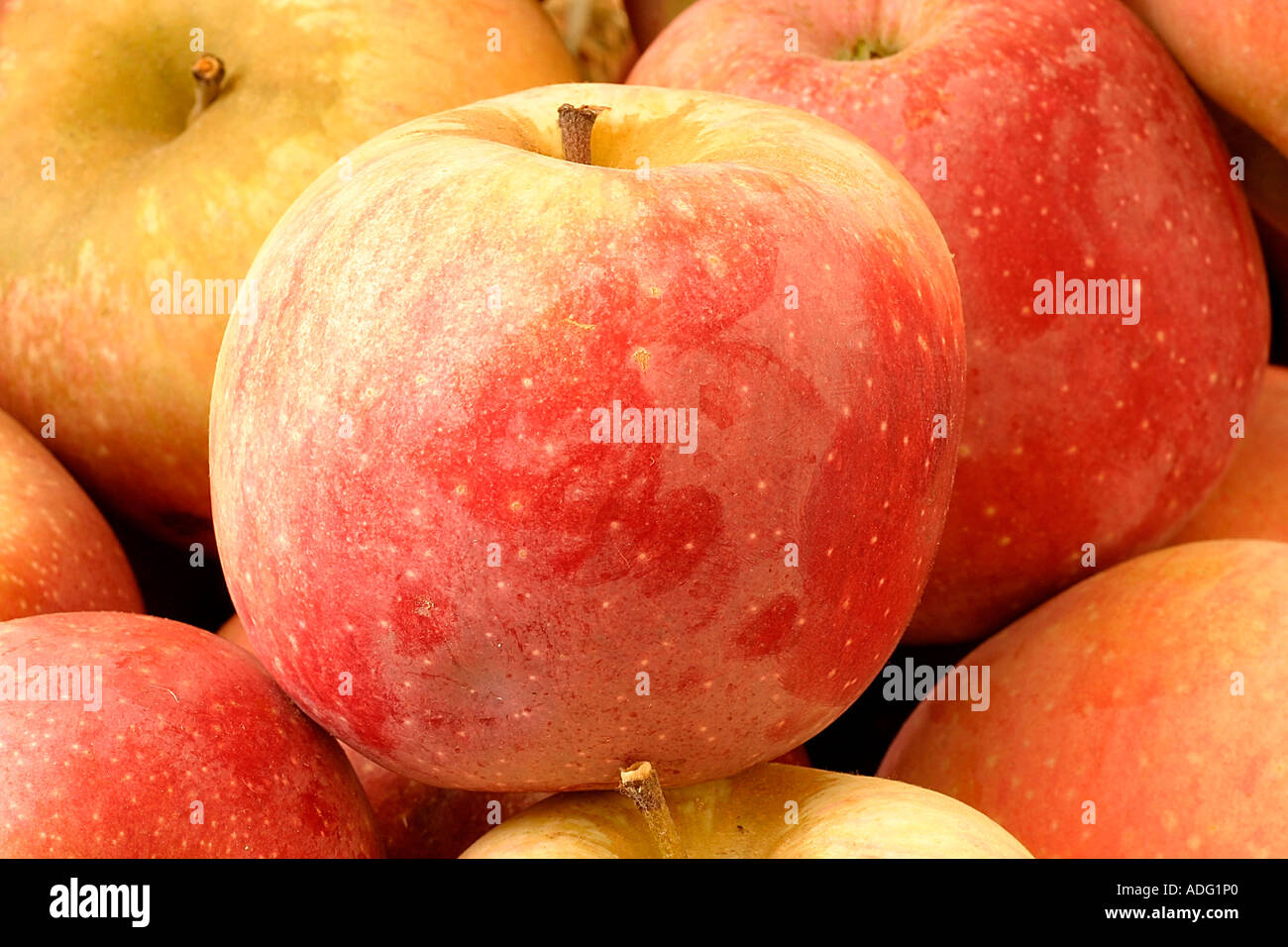 Apple florina hi-res stock photography and images - Alamy