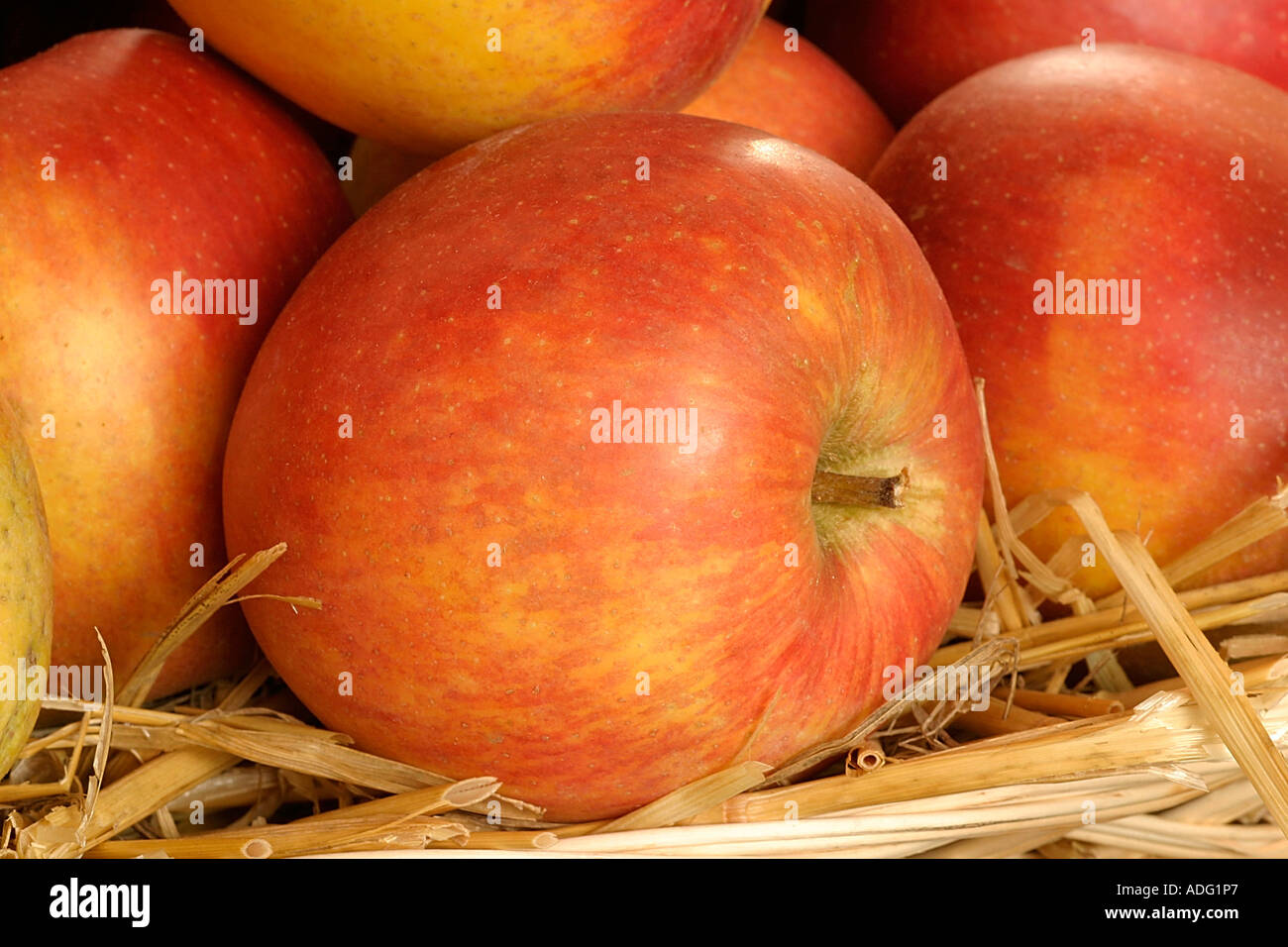 Renetta hi-res stock photography and images - Alamy