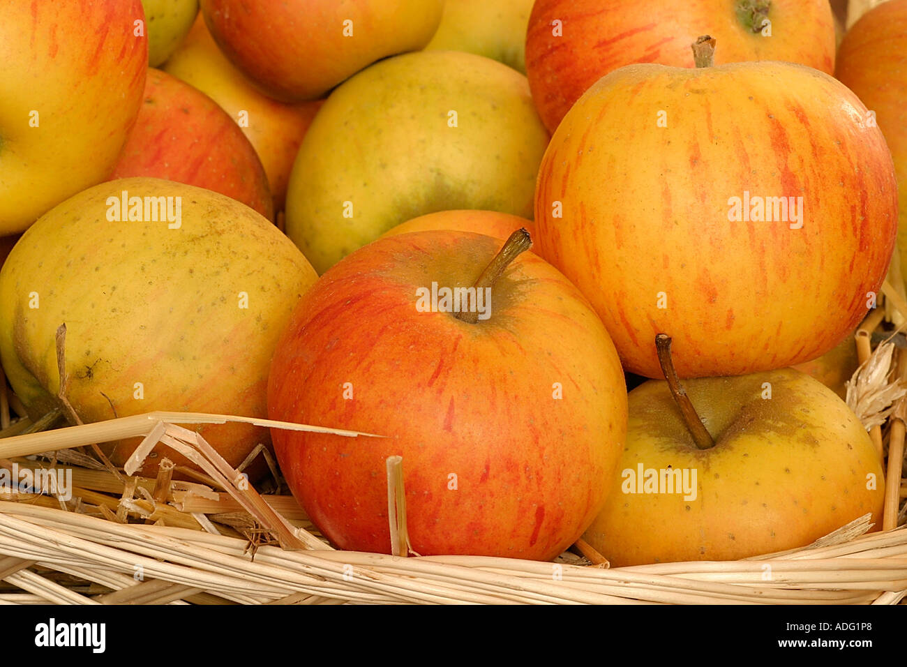 Renette hi-res stock photography and images - Alamy