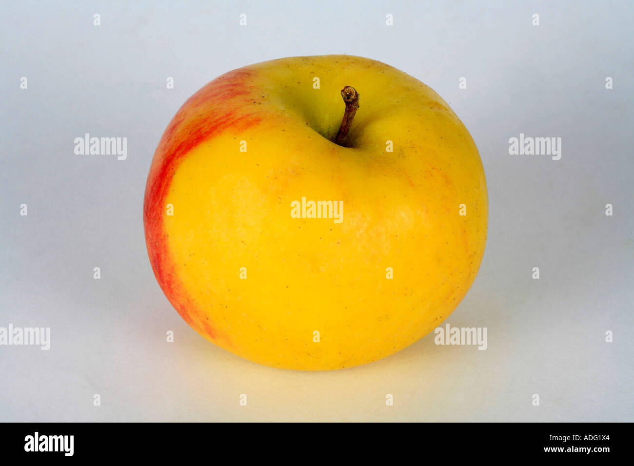 Belladonna apple Italy Stock Photo - Alamy