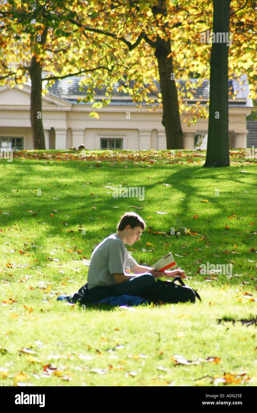 man reading book in St James Park London England Stock Photo - Alamy