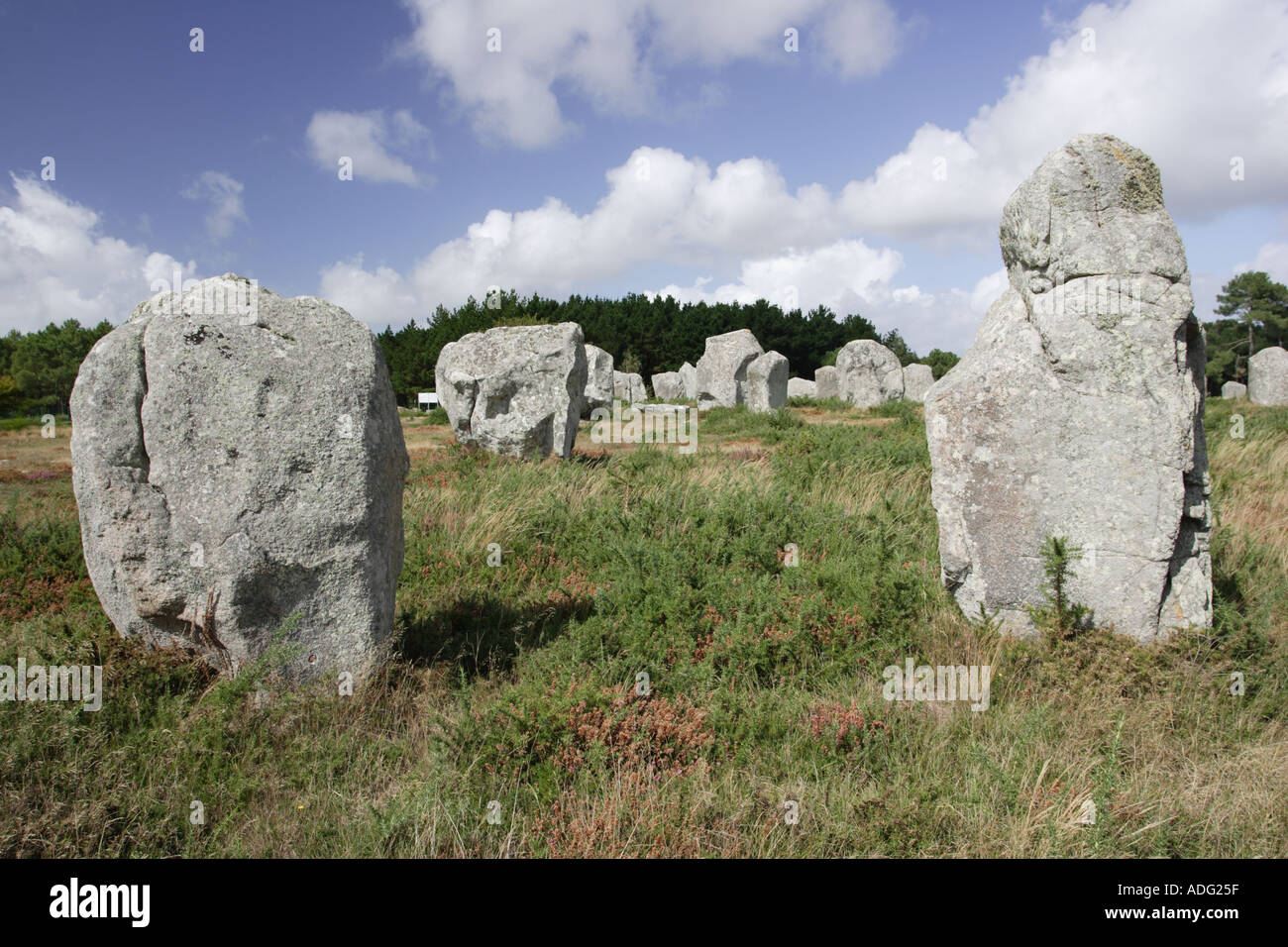 Neolithic alignements de Kermario Prehistoric megalithic standing ...