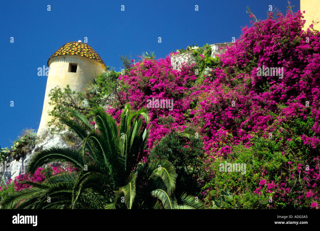 colorful buildings and flowers in the historic French port of ...