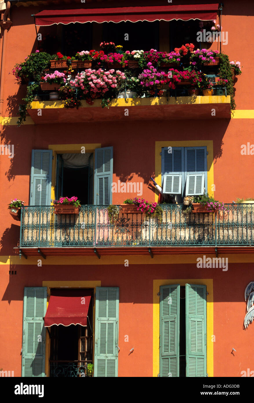 colorful buildings and flowers in the historic French port of ...