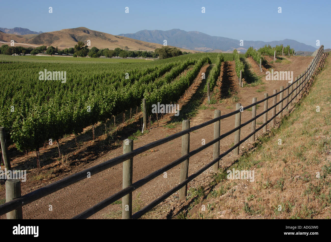 Happy canyon wine hi-res stock photography and images - Alamy