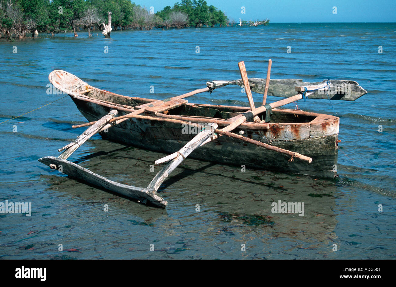 Newly constructed fishing dhow with outriggers Near Tanga Tanzania ...