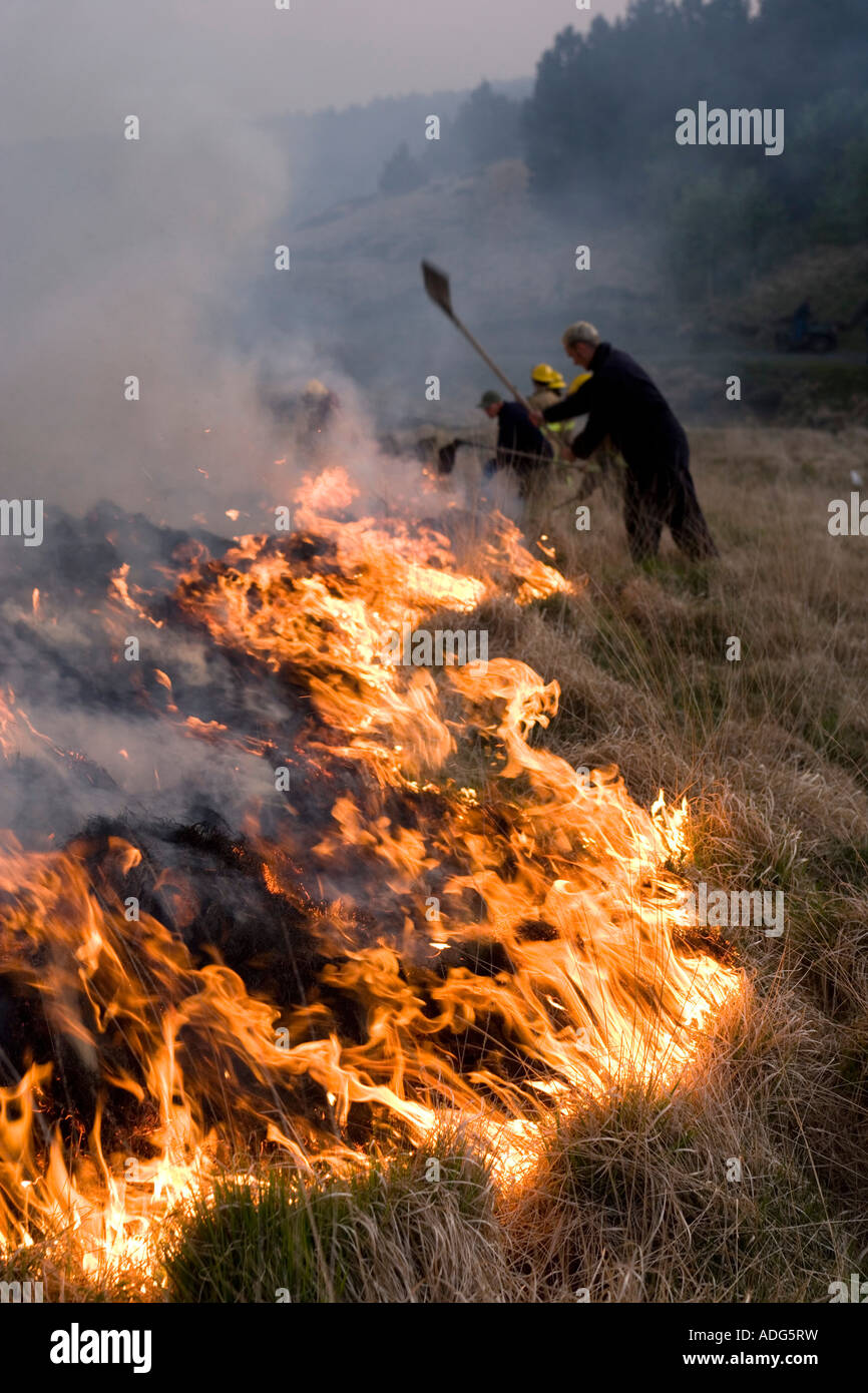 Firemen beating fire hi-res stock photography and images - Alamy