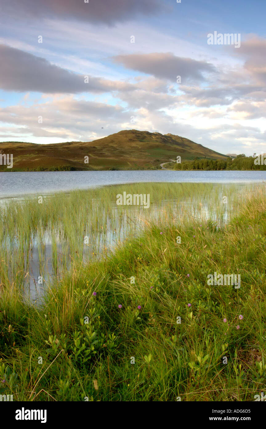 Water of tarf hi-res stock photography and images - Alamy