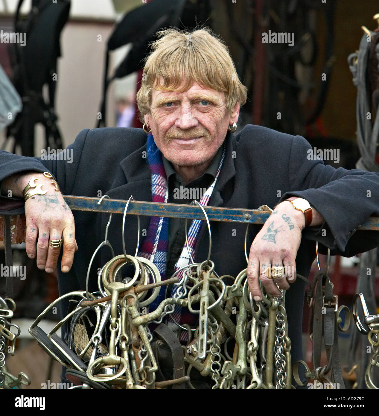 Steptoe and son horse hi-res stock photography and images - Alamy